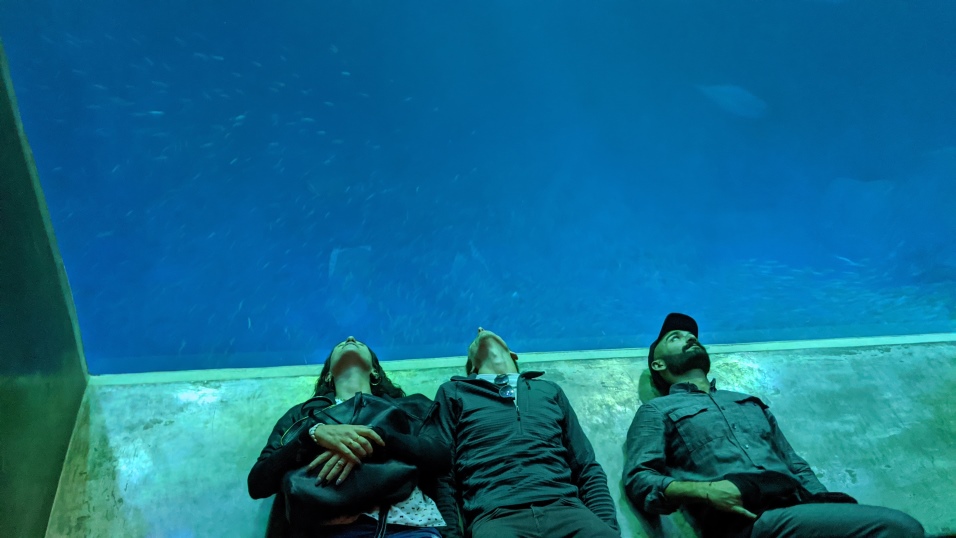 Modulus Consulting - About Us